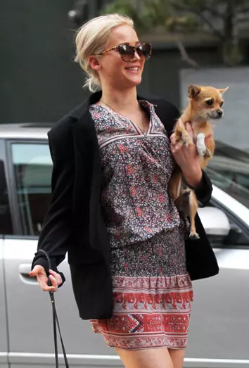 Ünlü köpekler: Jennifer Lawrence'ın sevimli evcil hayvanı Pippi