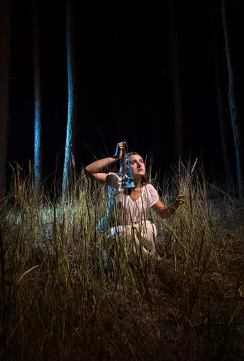 Wat betekent het om te dromen dat je verdwaalt in het bos?