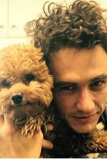 Asu selebriti: Ruly, poodle coklat James Franco