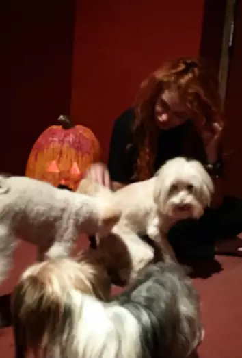 Пауліна Рубіо та її собаки Філіпо, Ліма та Кукі.