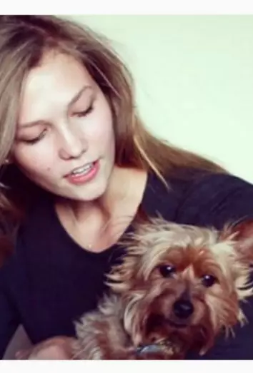 Joe, Yorkshire Terrier Karlie Kloss