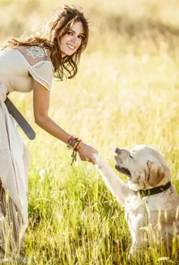 Cŵn enwog: Mar Saura, Helyg y Pomeranian a Buddy the Labrador