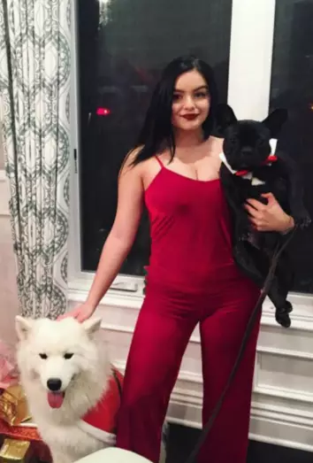 These are the two dogs of Ariel Winter