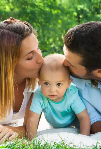 Aslanlar 2016'da aile ile böyle yapacak