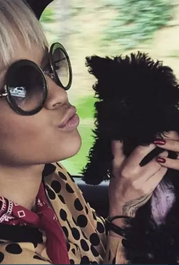 Rita Ora juga menyukai anjing kecil.