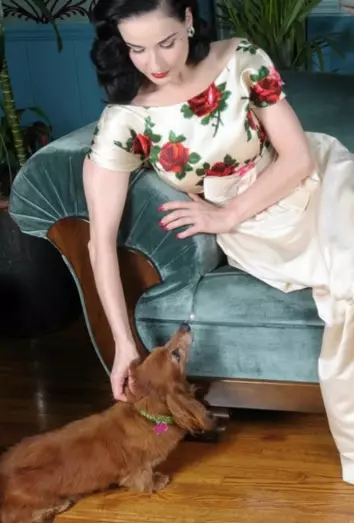 Dita Von Teese també té gossos d'aquesta raça.