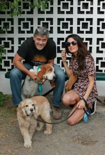 Луи и Мили, пси Џорџа и Амал Клуни.