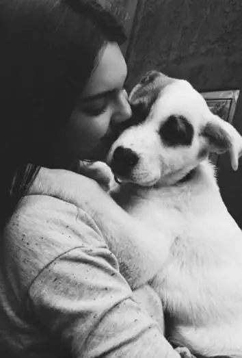 Celebrity Dogs: Kendall Jenner's Gorgeous Labs