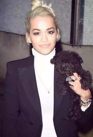 Rita Ora et son chien : les animaux de compagnie des célébrités