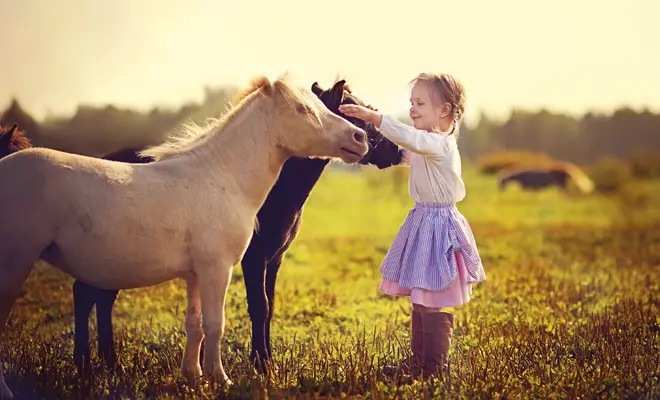 ຄວາມຝັນຂອງ ponies ຫມາຍຄວາມວ່າແນວໃດ?