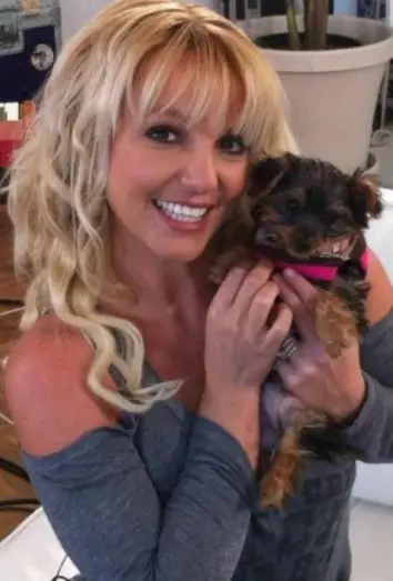 Britney Spears en een van haar Yorkshire