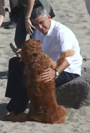 George Clooney and a dog with which he participated in an advertisement.