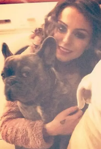 Bulldog penyanyi Cher Lloyd