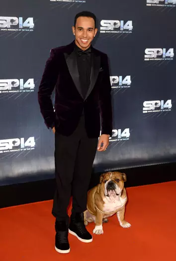 Roscoe, Lewis Hamilton's French bulldog.