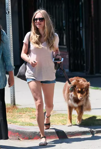 Amanda Seyfried e Finn: cans famosos.