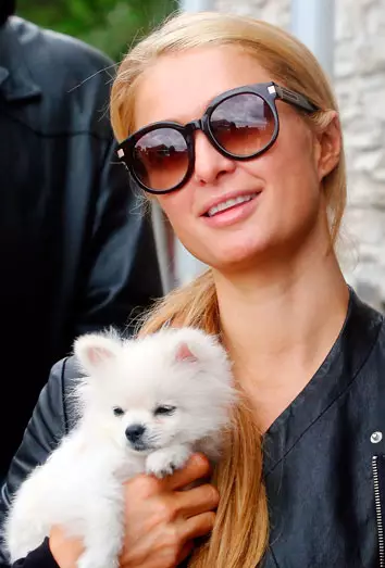 Paris Hilton a jej pomeranian; nehovor že sa ti to nepáči.