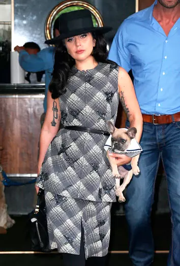 Lady Gaga at isa sa kanyang mga bulldog: ang mang-aawit at ang kanyang mga aso.