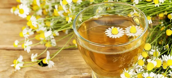 Paano gamitin ang chamomile upang mabura ang mga madilim na bilog