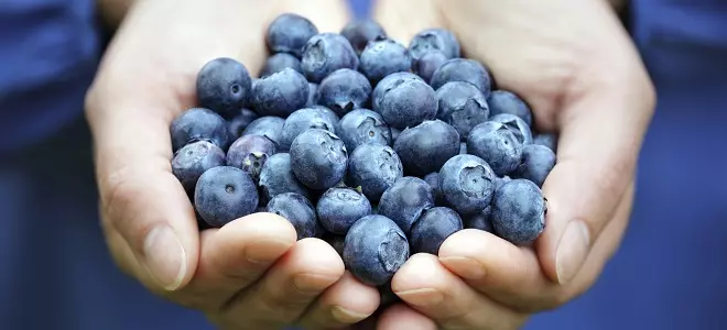 Alimentos ricos en dopamina