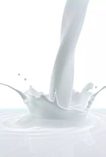 Meaning of dreaming with milk