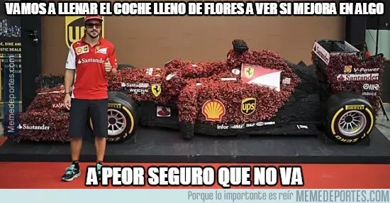 meme fernando alonso car flowers