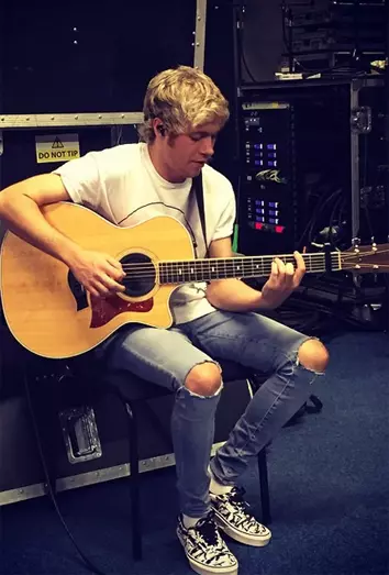 Niall Horan of One Direction ለ'On the Road Again Tour' ይዘጋጃል