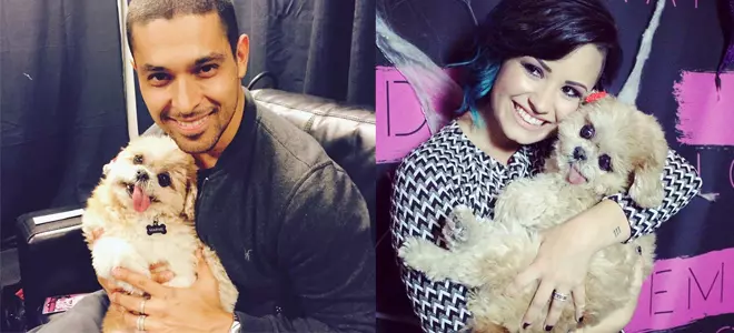 데미 로바토(Demi Lovato)와 그녀의 남자친구, 약혼 반지를 끼고 있다.