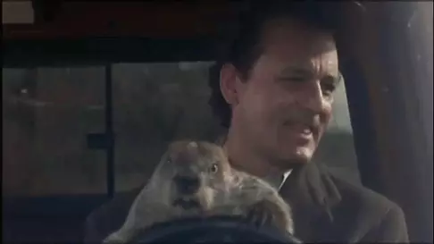 Gif el 'Groundhog Day': kiel fini rilaton kiel en la filmoj.