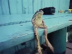 katak malas