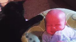 Najdirljivije fotografije i gifovi mačaka i beba.