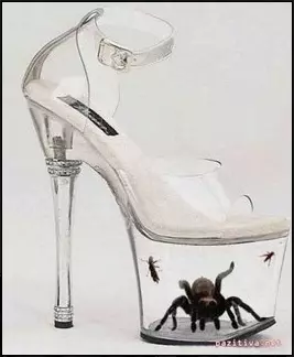 spider heels