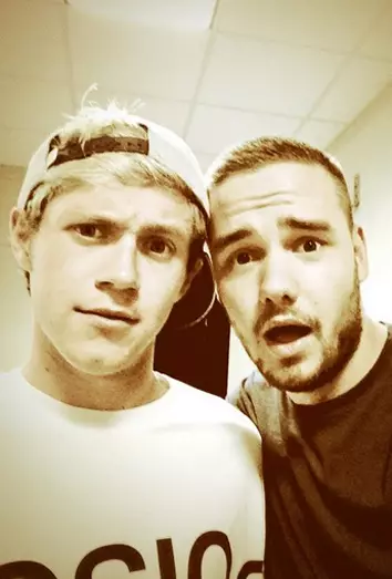 Niall Horan and Liam Payne, the jokers of One Direction.