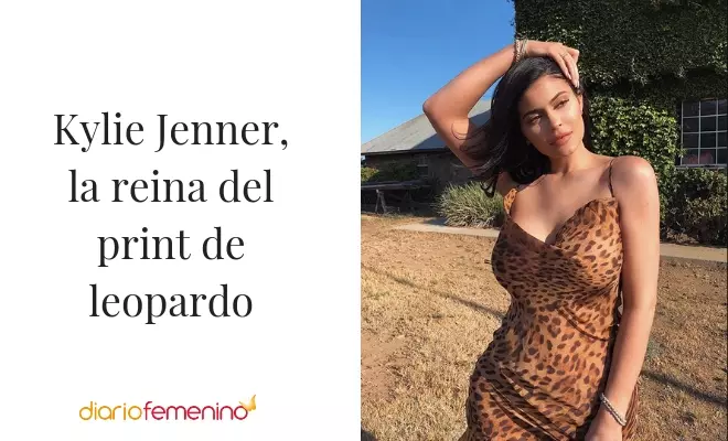 Kylie Jenner, queen of leopard print