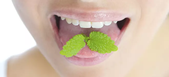 Mundgeruch, eine weitere Folge von Stress: Schluss mit Mundgeruch