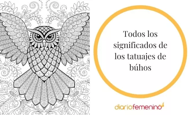 ຄວາມຫມາຍທັງຫມົດຂອງ tattoos owl