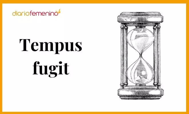 시간의 흐름에 대한 라틴어 문신