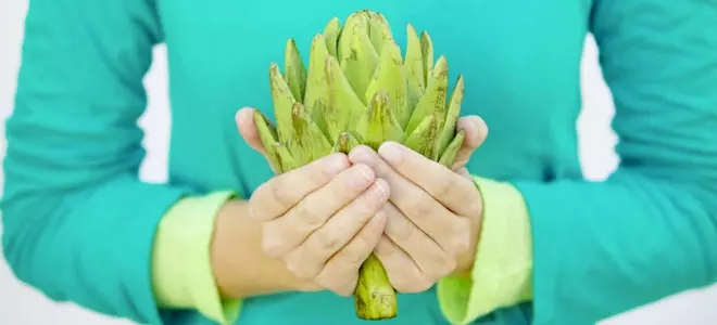 artichoke diet