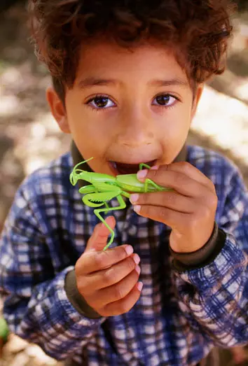 Du régime Dukan au régime insecte