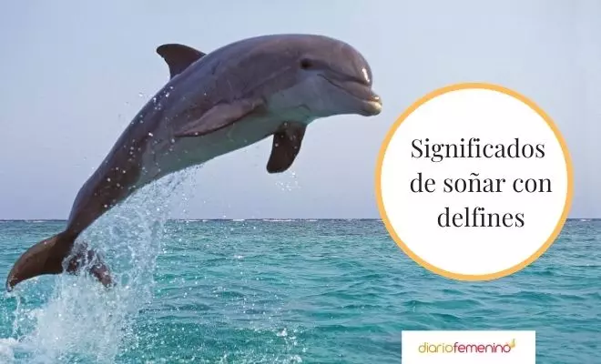 Was bedeutet es, von Delfinen zu träumen?