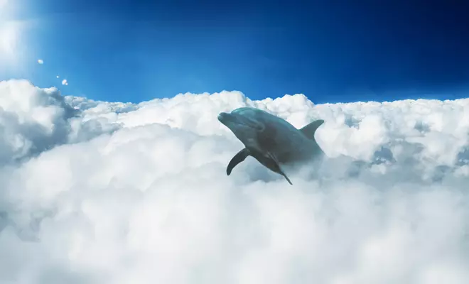 Sinn vun Dreem vun Delfinen am Himmel