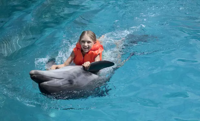 Sognare di essere in groppa a un delfino: cosa significa?
