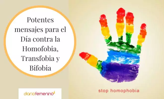Frāzes Starptautiskajai dienai pret homofobiju, transfobiju un bifobiju