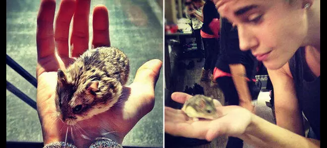 Justin Bieber fires his hamster Pac
