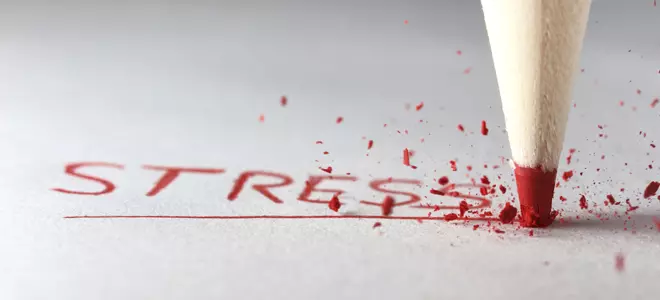 Ce este stresul și ce tipuri de stres există