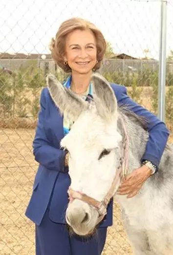 Dal cane di Obama all'asino della regina