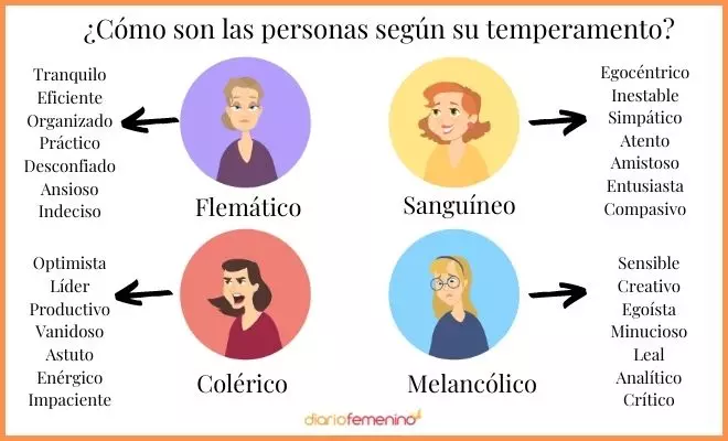 Які люди за типом темпераменту? Сангвінік, меланхолік, флегматик і холерик