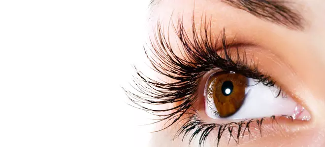 परिपूर्ण eyelashes: टिपा आणि काळजी