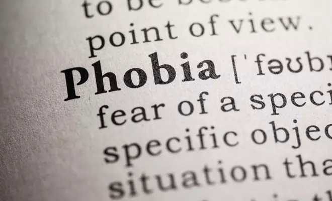 Фобия төшенчәсе: симптомнар, сәбәпләр һәм иң еш дәвалау