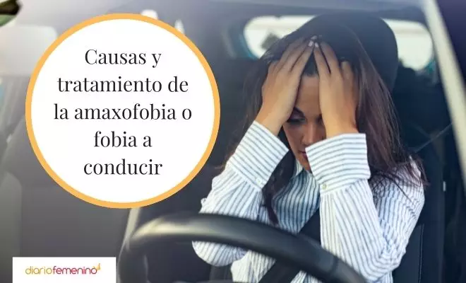 Amaxofobi veya araba kullanma korkusu: fobinin belirtileri, nedenleri ve tedavisi