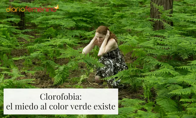 Hva er klorofobi, også kjent som frykten for fargen grønn